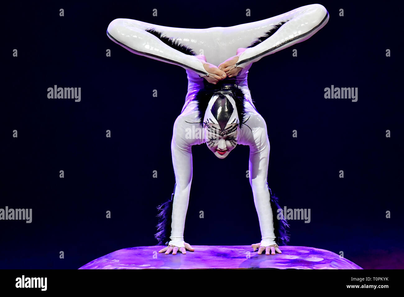 Rio de Janeiro, Brazil. 21st Mar, 2019. OVO SHOW CIRQUE DU SOLEIL, RJ ...