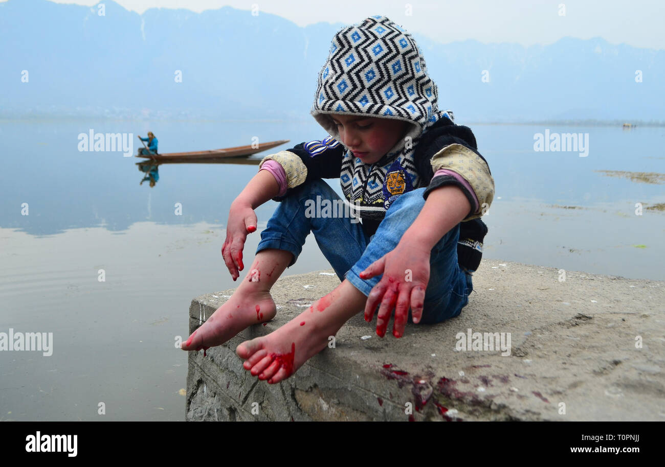 Indian Leech High Resolution Stock Photography and Images - Alamy