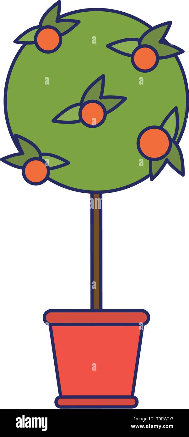Orange tree in bucket cartoon blue lines Stock Vector Image & Art - Alamy