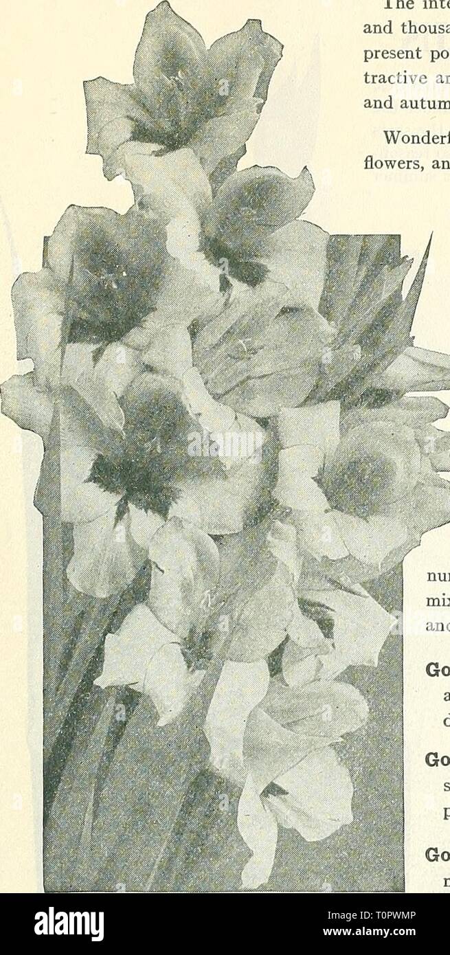 Abridged list hi-res stock photography and images - Alamy