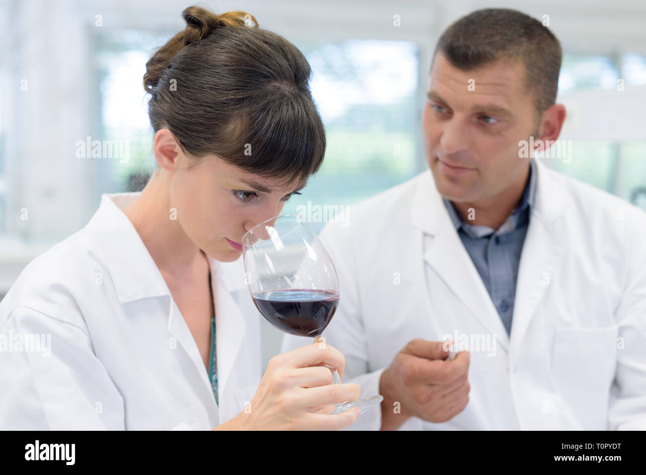 taster professional working into a cellar laboratory Stock Photo - Alamy