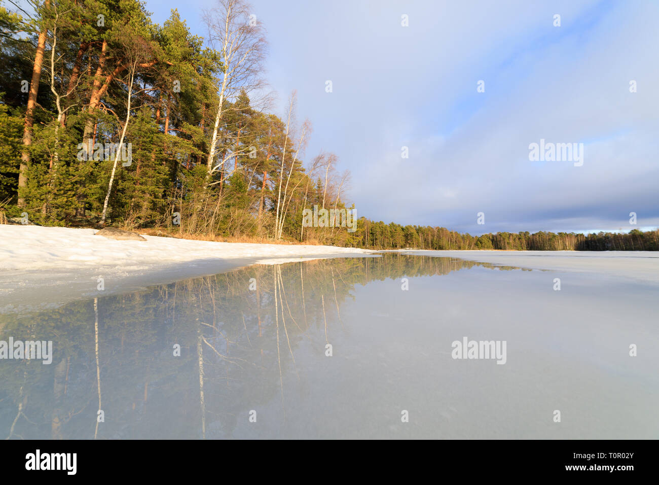 Landscape reflection from wet ice surface at lake Stock Photo - Alamy