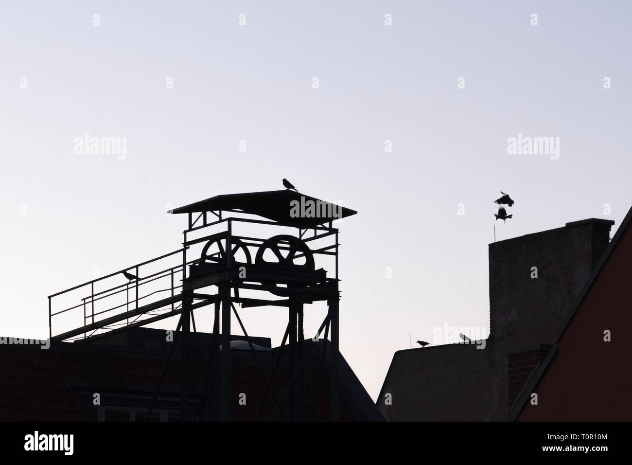 Apartment building rooftop with old lift shaft and roosting crows ...