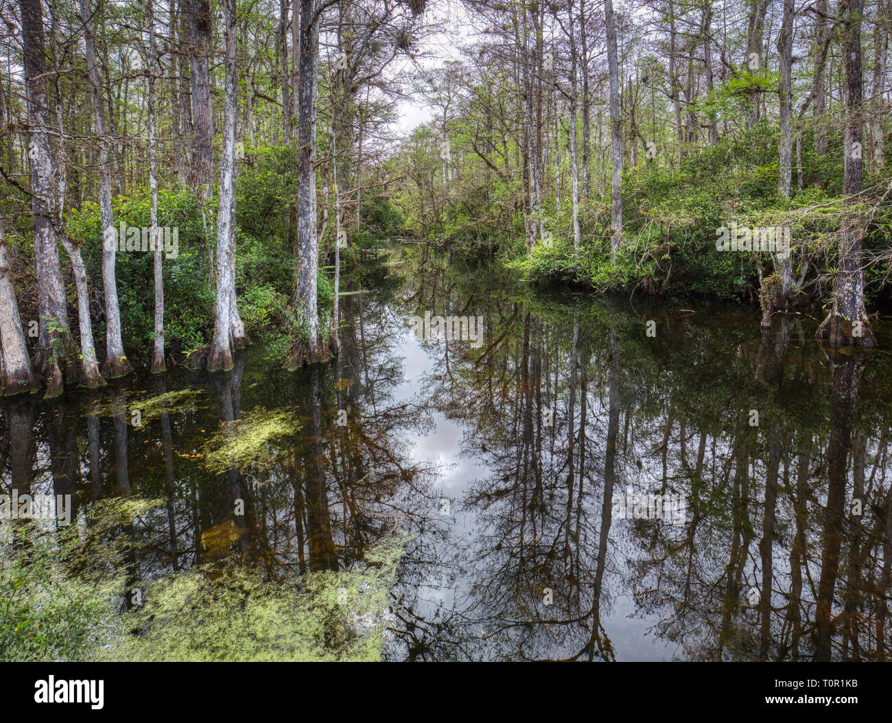 Landscaoe hi-res stock photography and images - Alamy