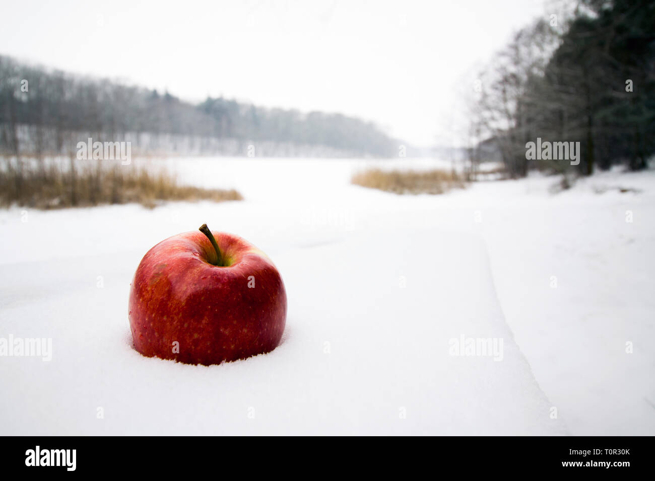 Cold apple hi-res stock photography and images - Alamy