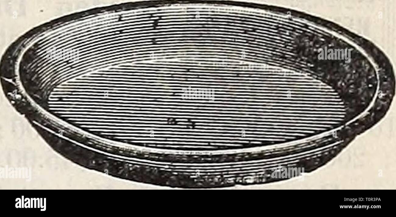 Lon legs hi-res stock photography and images - Alamy