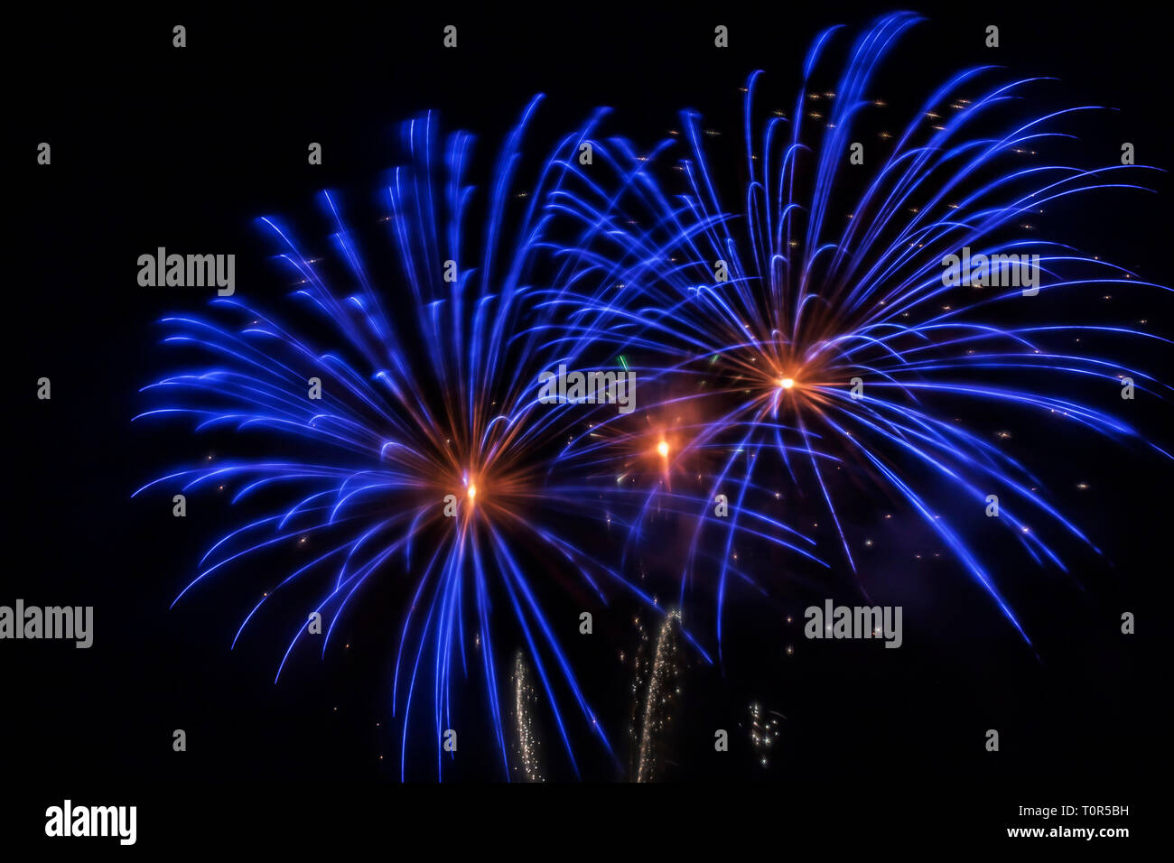 Blue fireworks explode in front of a dark sky on a beautiful July night ...
