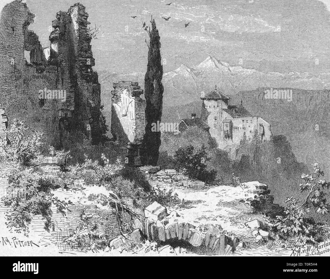 Castle wart hi-res stock photography and images - Alamy