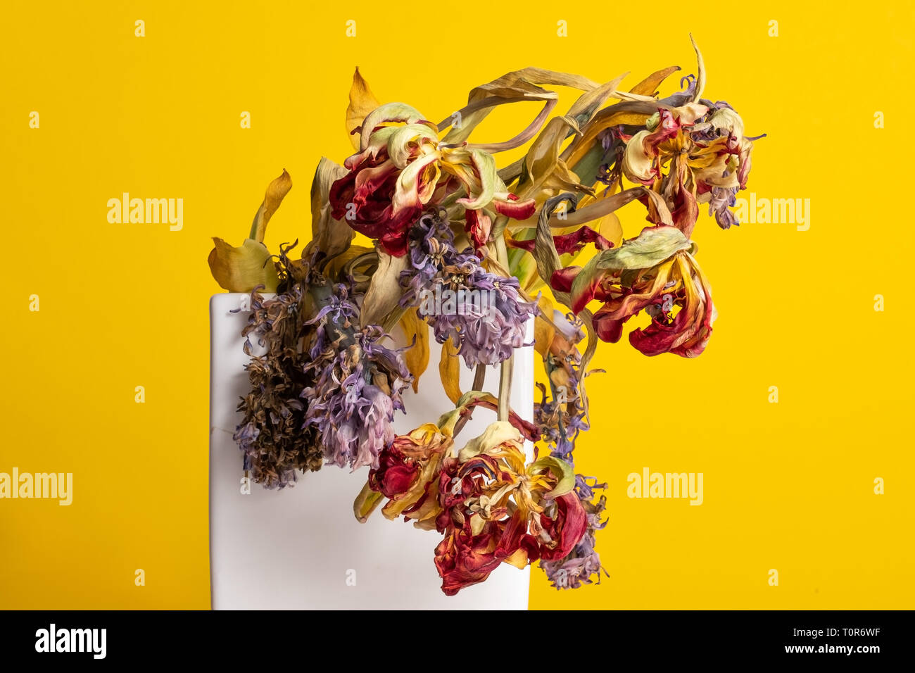 The Death Of Hyacinth High Resolution Stock Photography and Images - Alamy