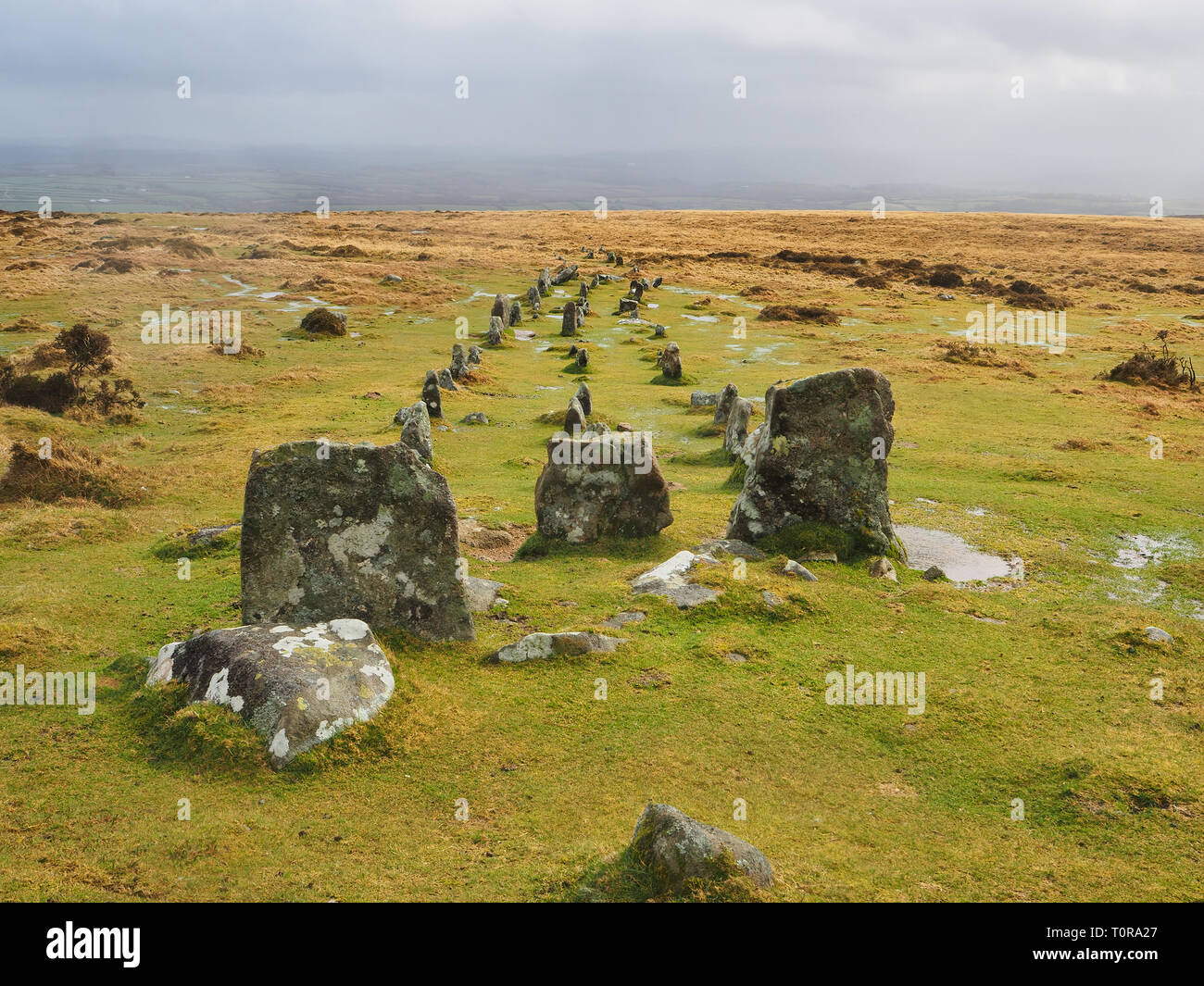 Cosdon Hill multiple stone rows known as The Graveyard, Dartmoor ...
