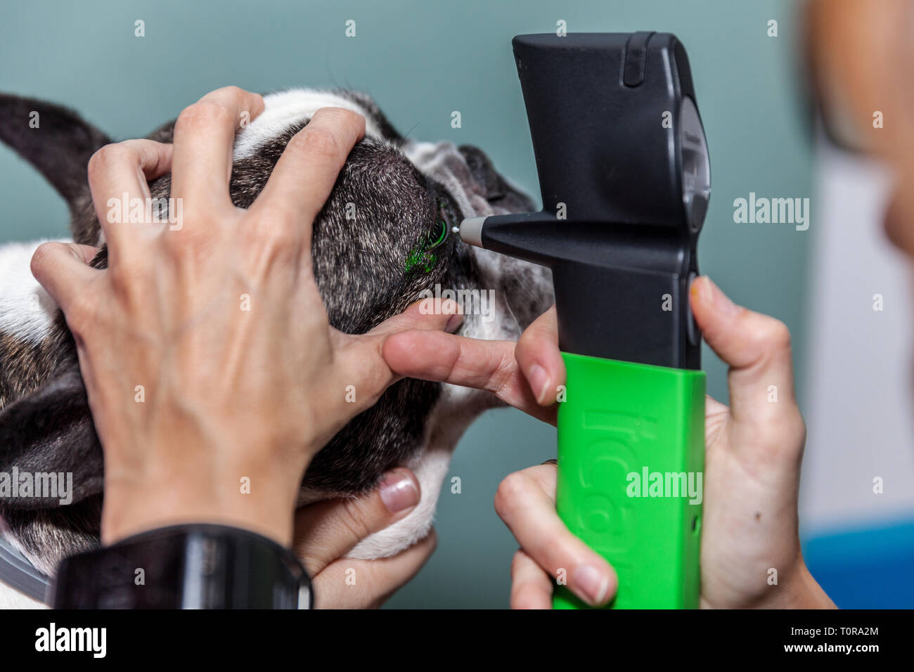 Operating theater of ophthalmology hi-res stock photography and images ...