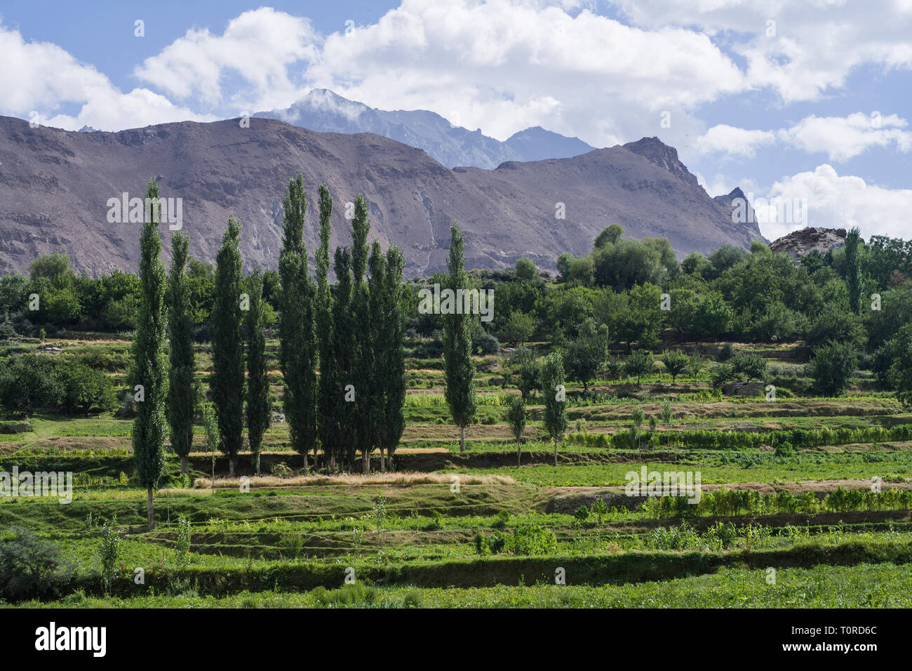 Terrecess hi-res stock photography and images - Alamy