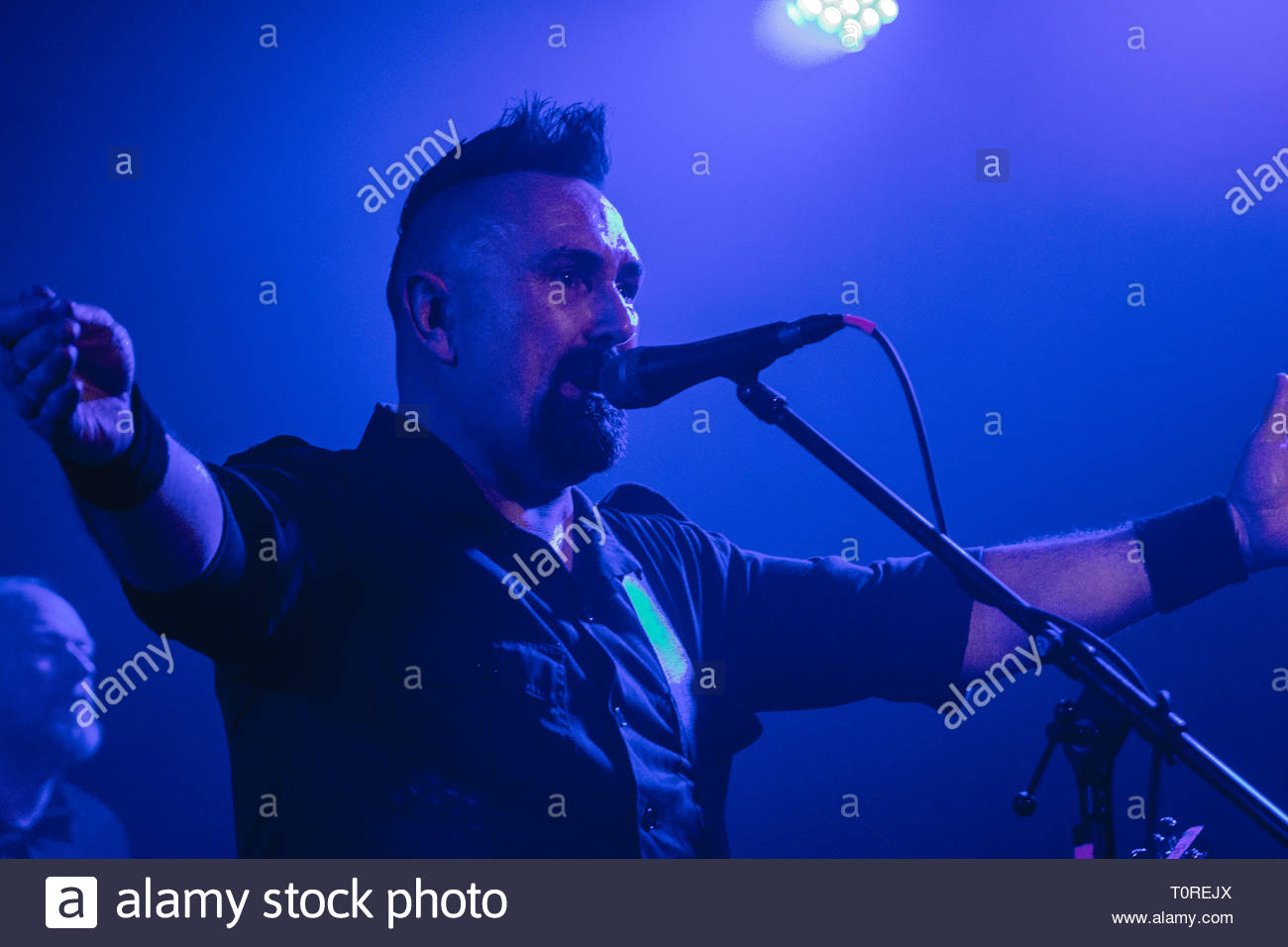 Andy Cairns Stock Photos & Andy Cairns Stock Images - Alamy