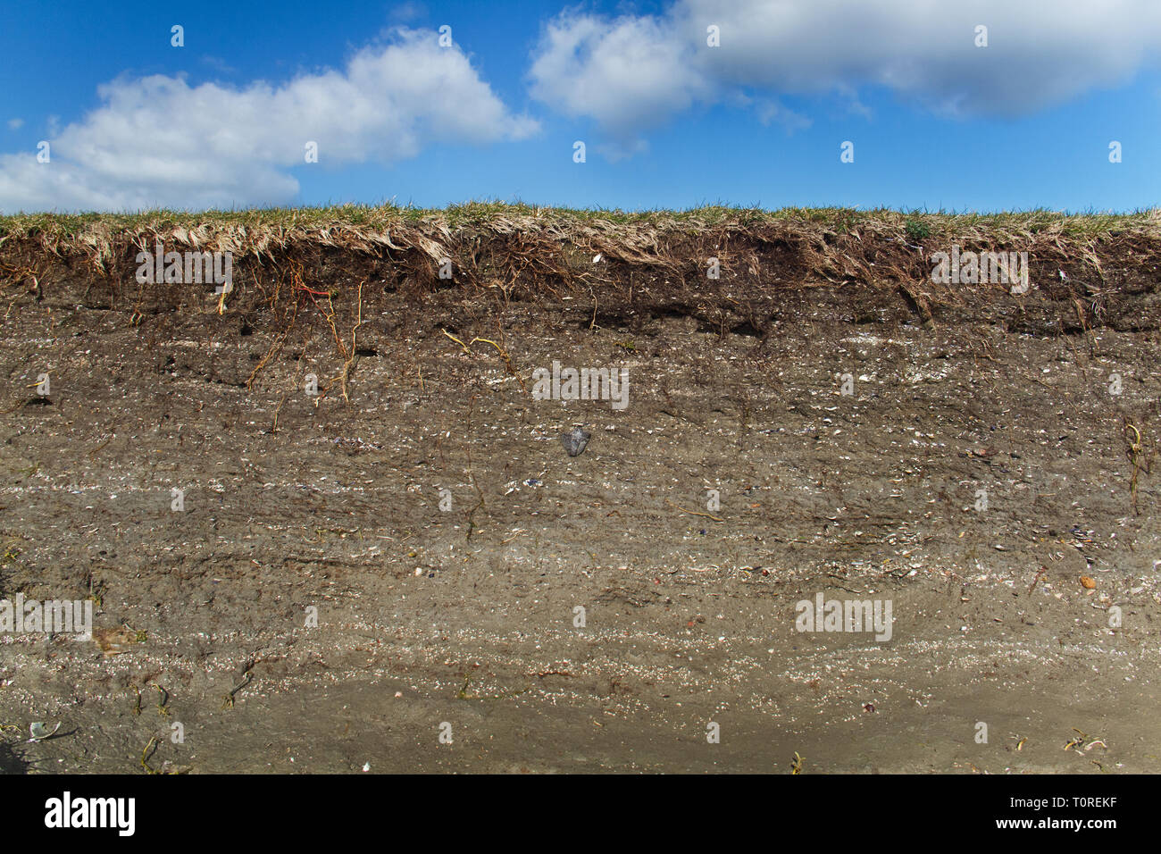 Soil layers hi-res stock photography and images - Alamy