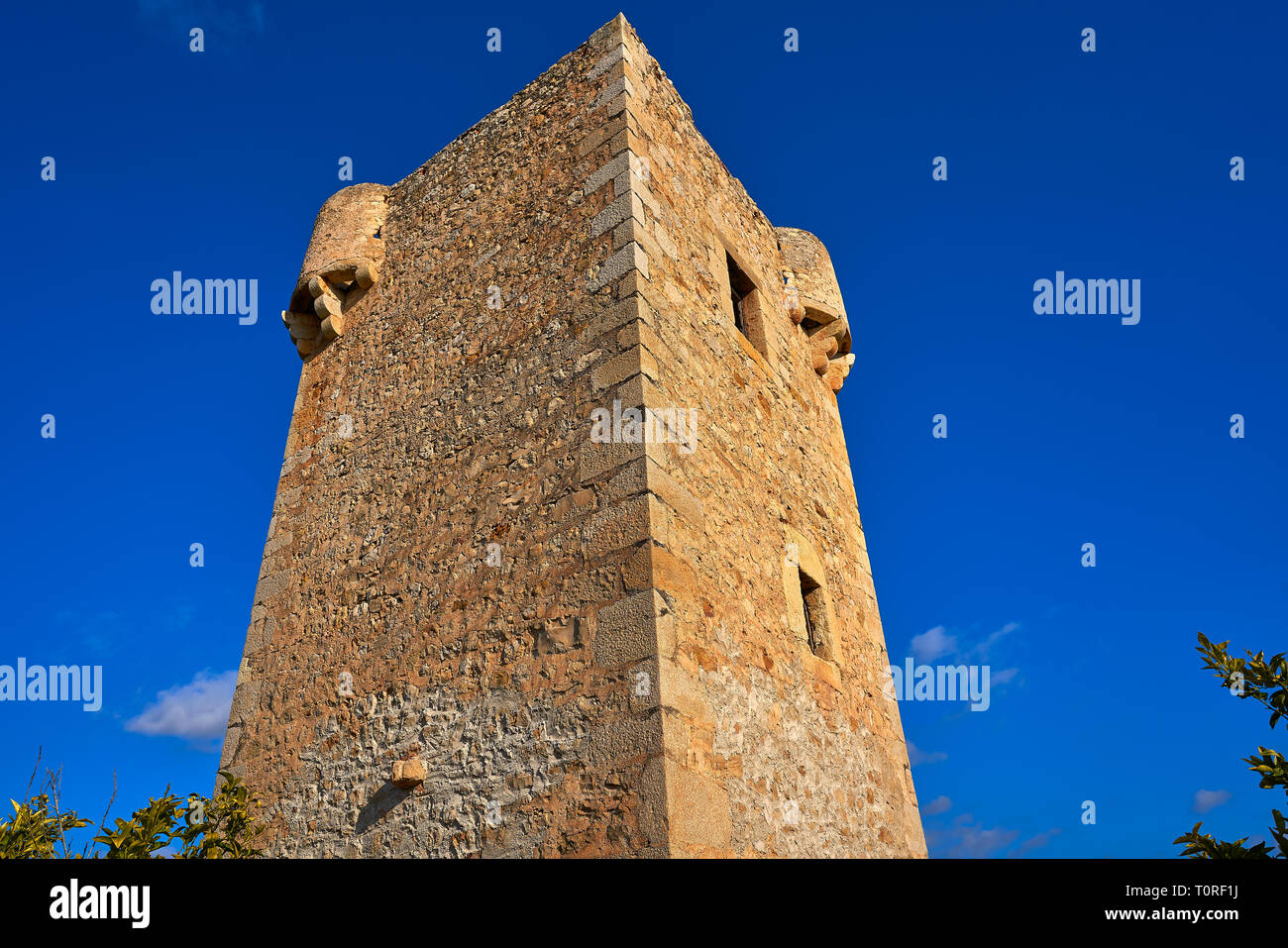 Gats hi-res stock photography and images - Alamy