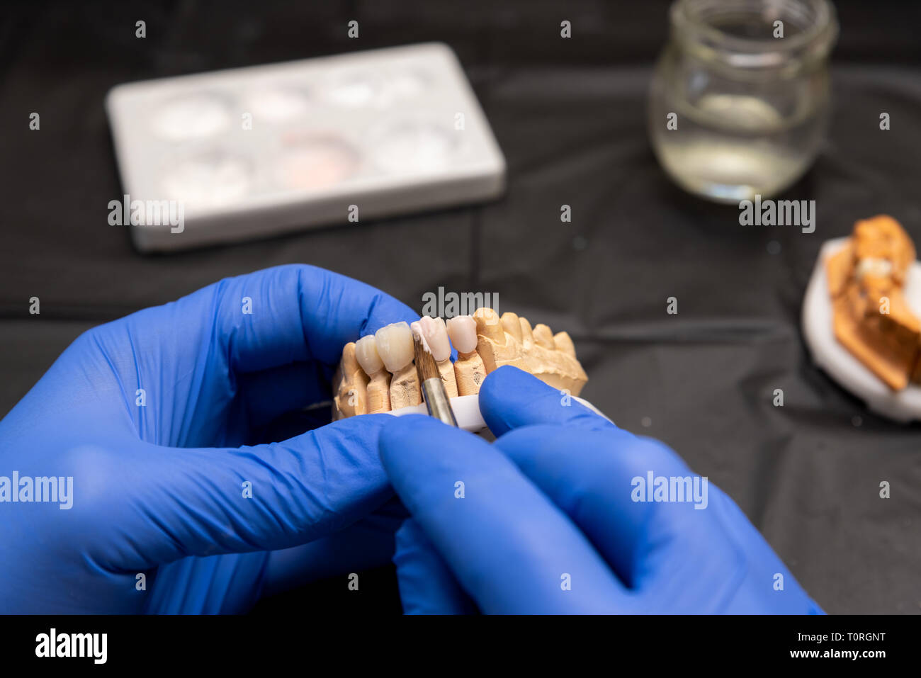 Dentist is painting a denture in dental laboratory Stock Photo - Alamy