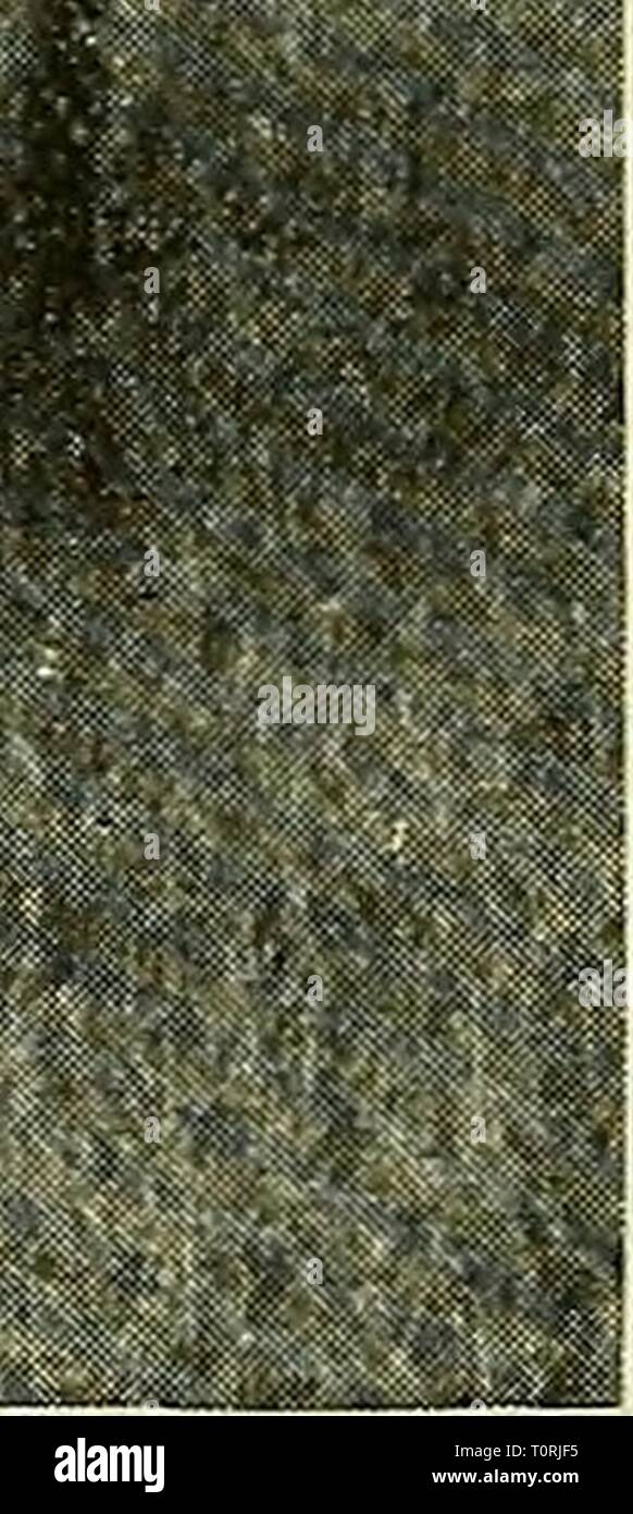 Dr David Roberts' practical home Stock Photo - Alamy