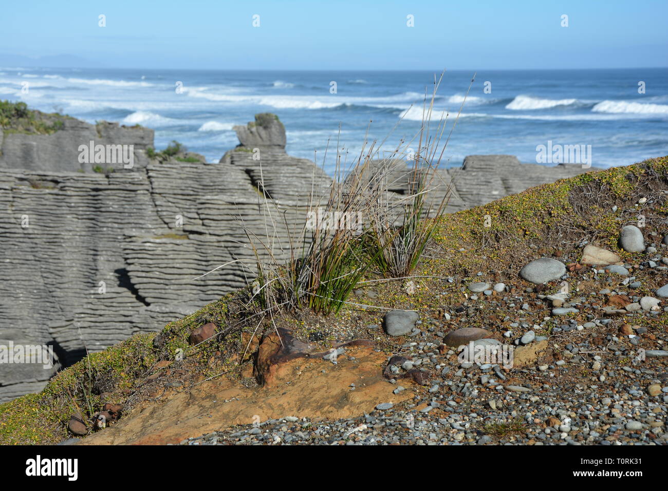 Punakaiki Pancake Rocks, New Zealand Stock Photo - Alamy