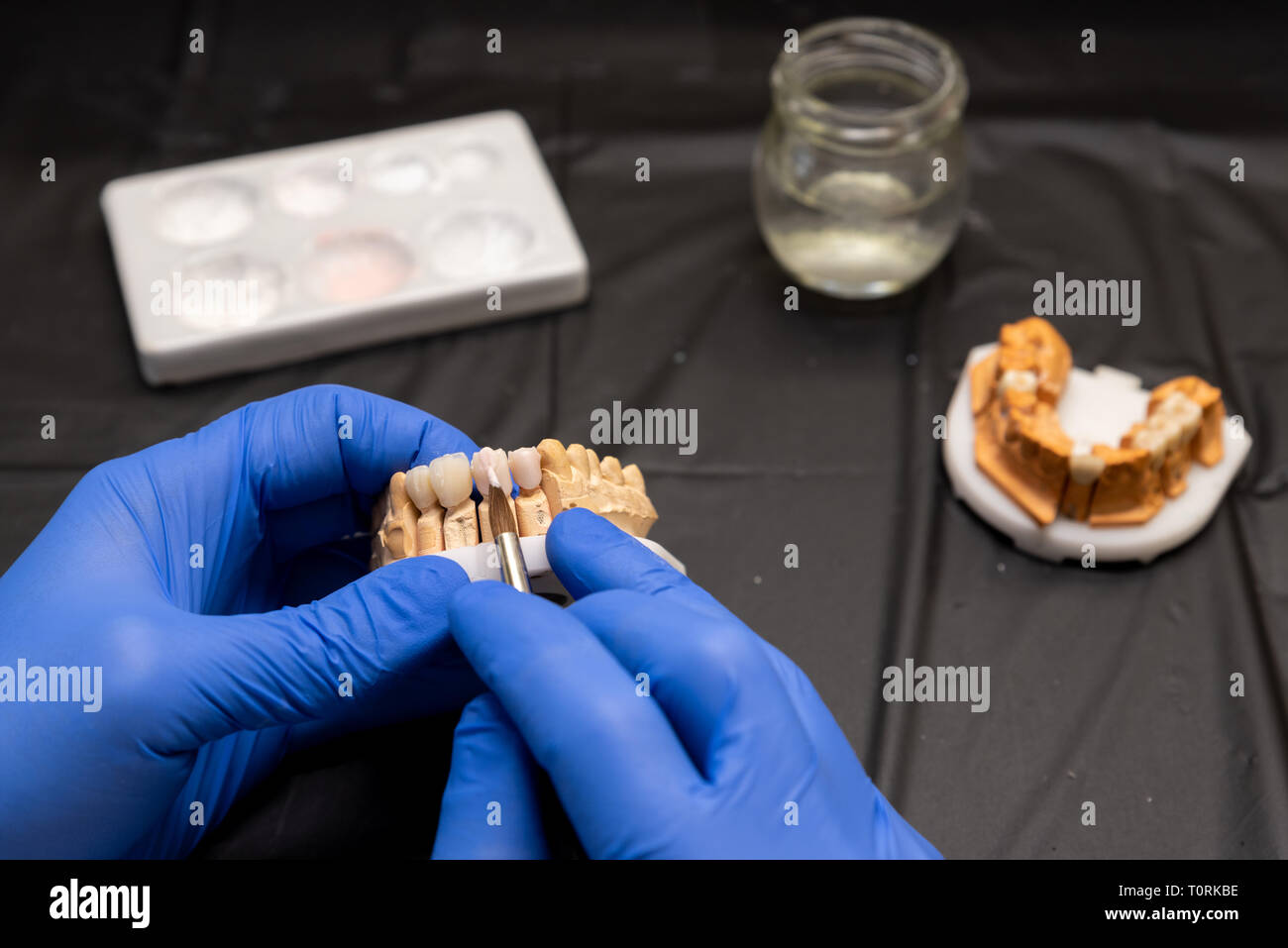 Dentist is painting a denture in dental laboratory Stock Photo - Alamy