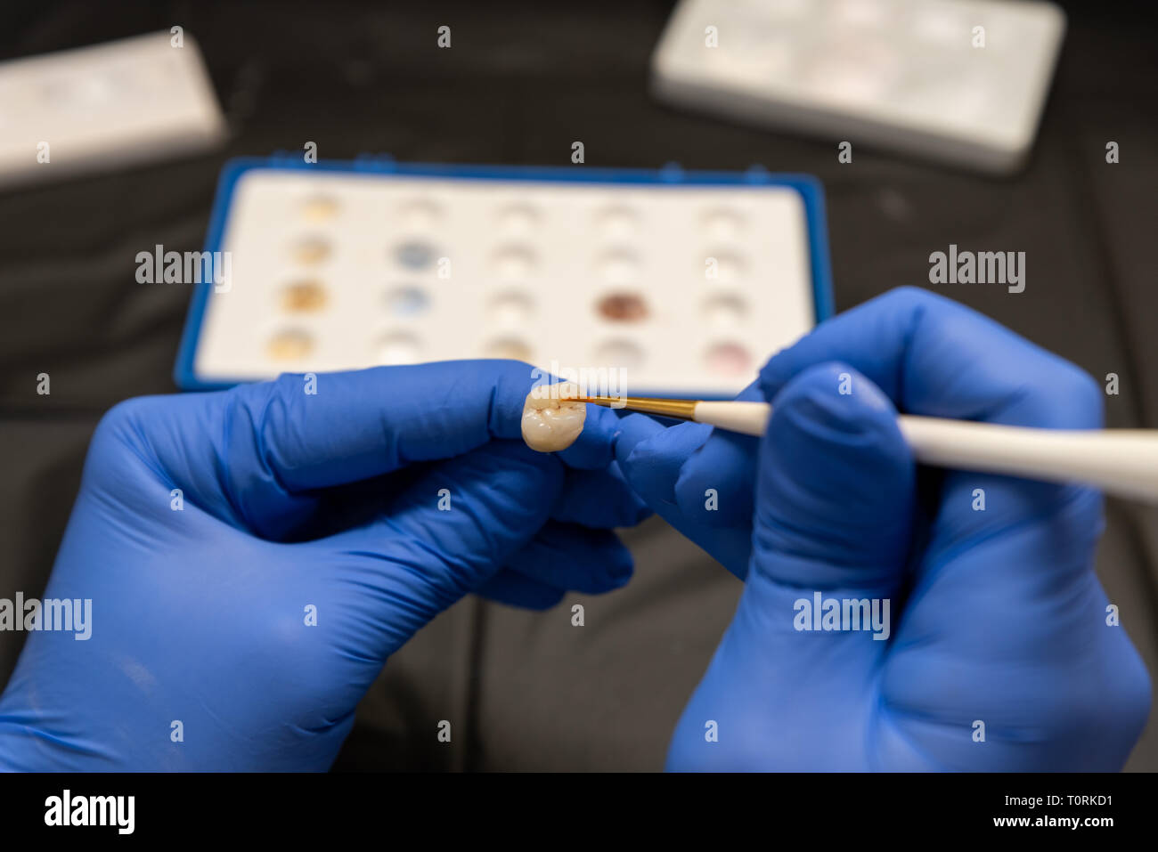 Dentist is painting a tooth crown in dental laboratory Stock Photo - Alamy