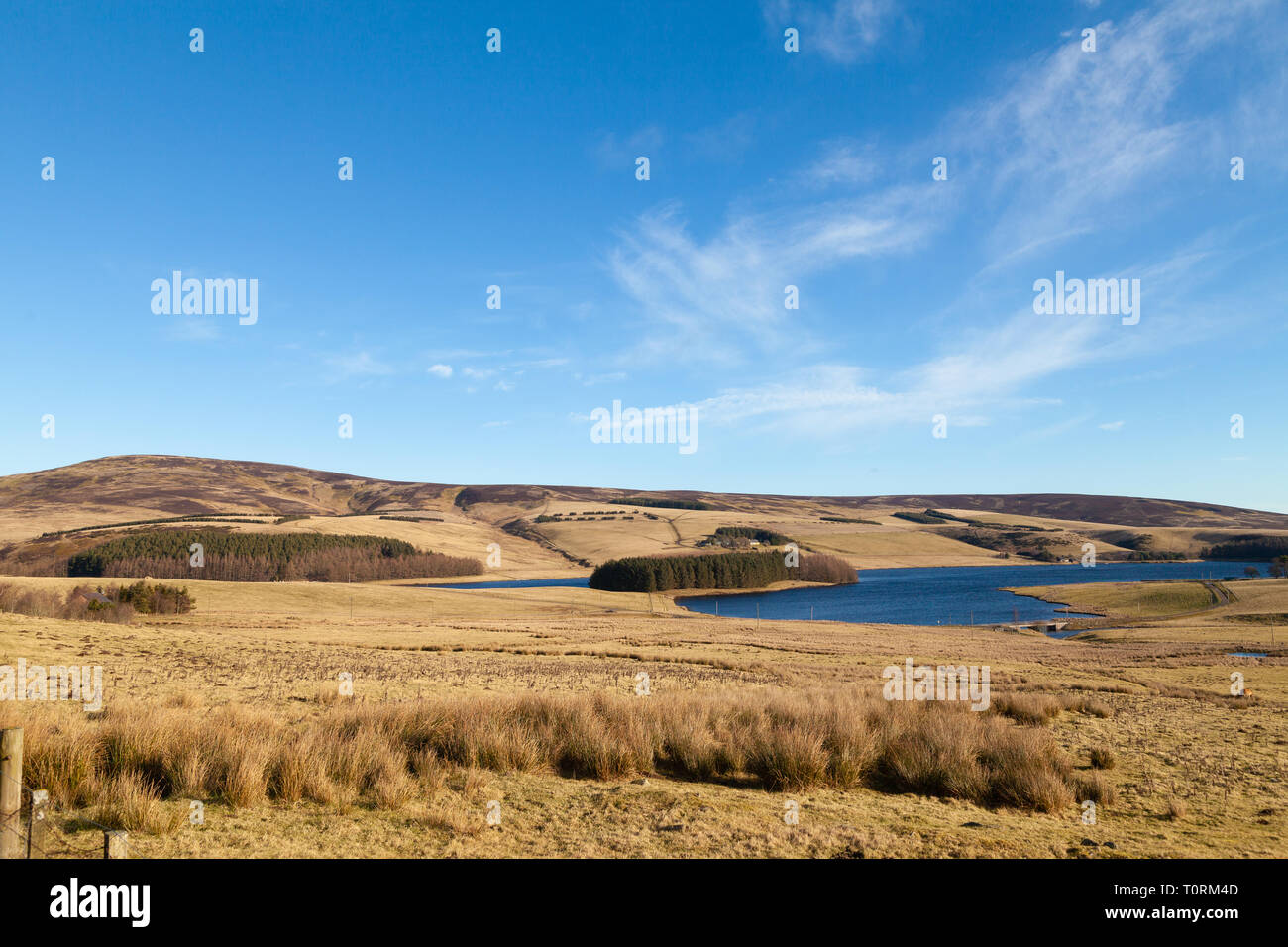 Whiteadder Reservoir is a reservoir in East Lothian, Scotland, UK Stock ...