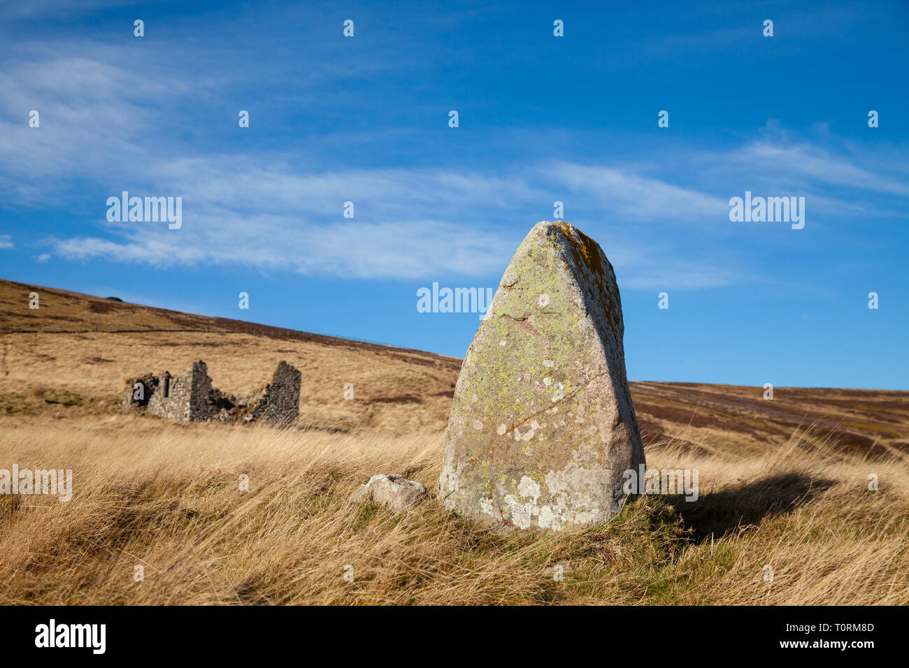 Standing stone near Whiteadder Reservoir East Lothian, Scotland, UK ...