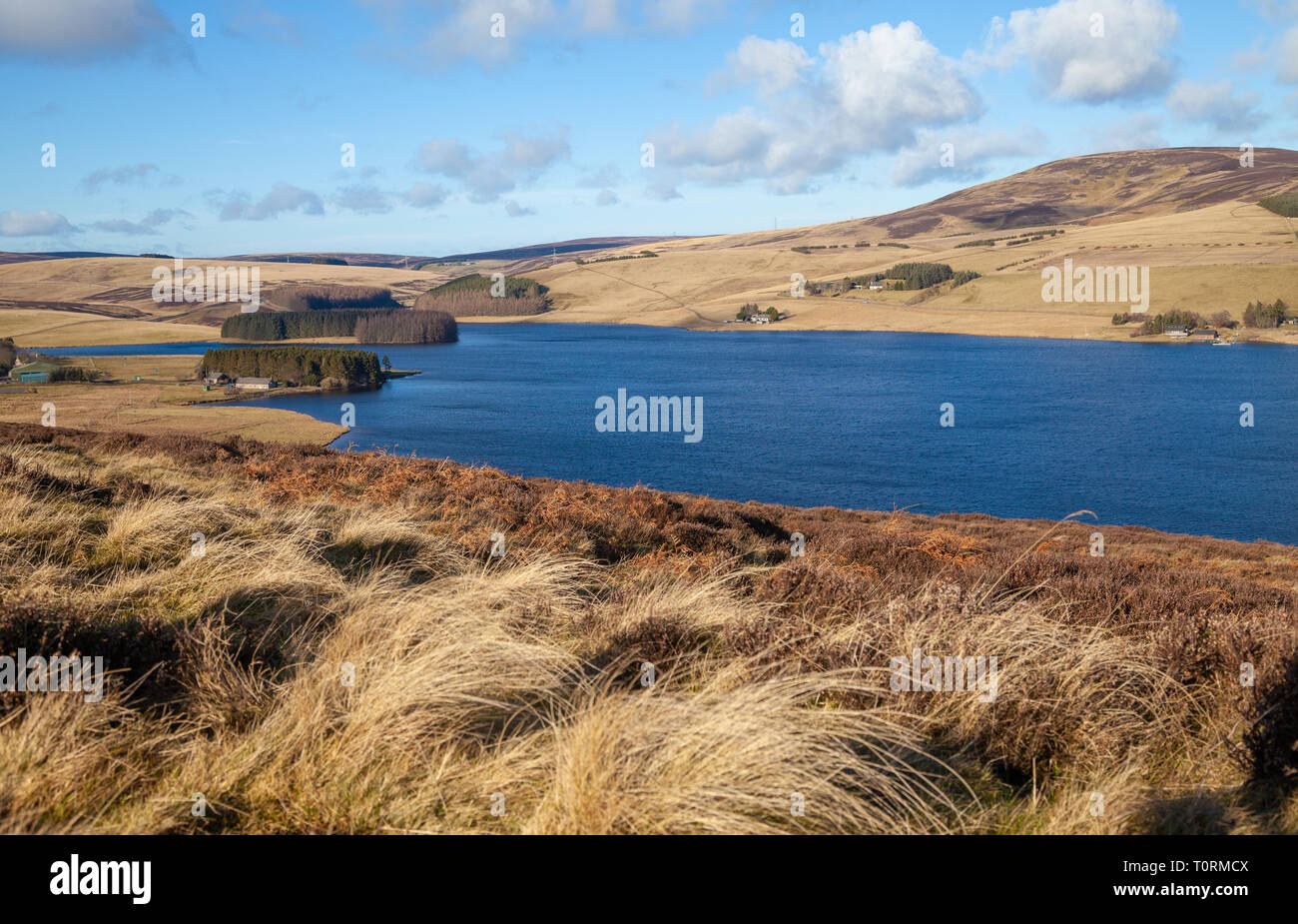 Whiteadder reservoir hi-res stock photography and images - Alamy