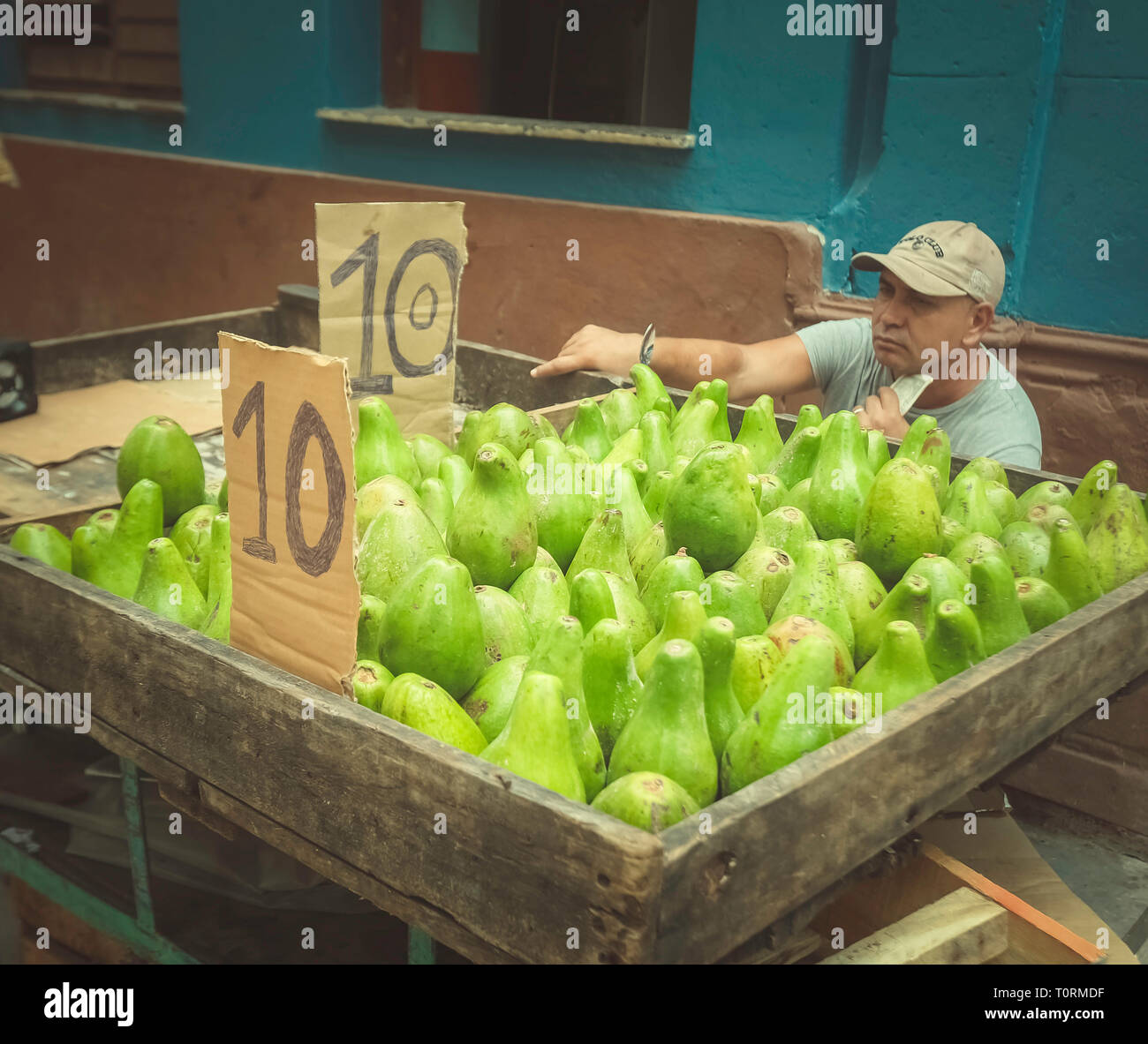 Cuban avocados hi-res stock photography and images - Alamy