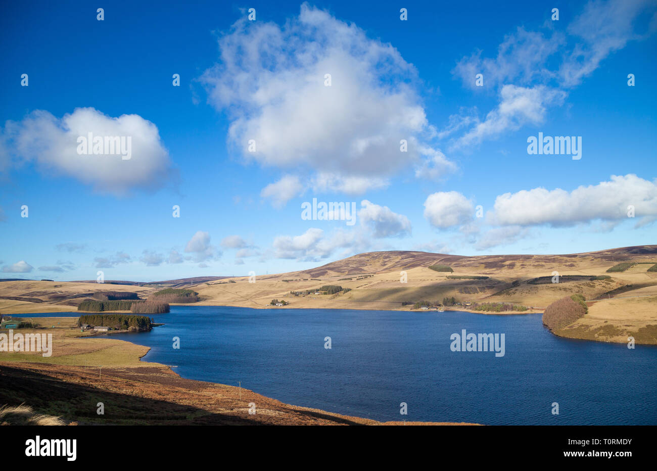 Whiteadder Reservoir is a reservoir in East Lothian, Scotland, UK Stock ...