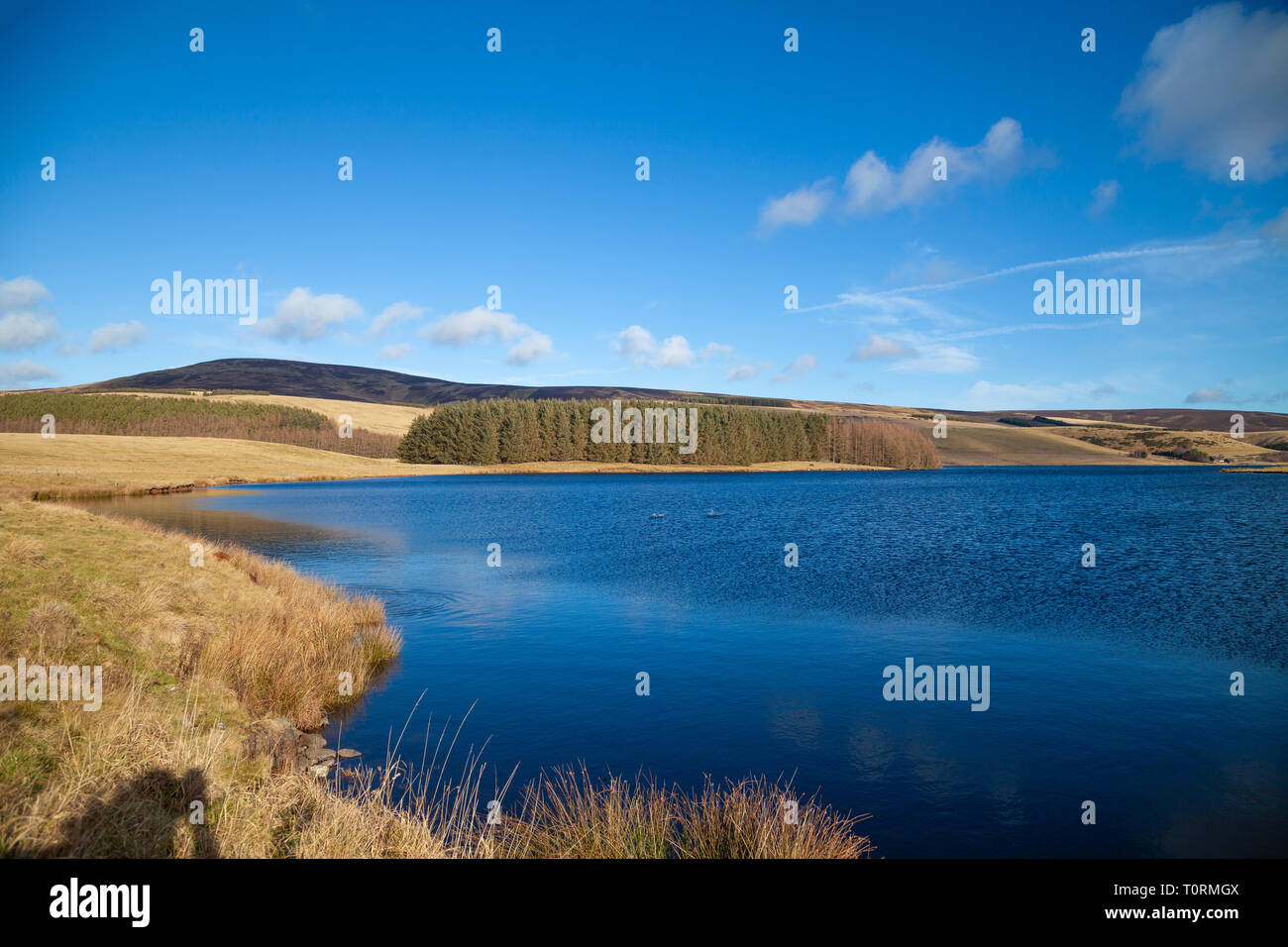 Whiteadder Reservoir is a reservoir in East Lothian, Scotland, UK Stock ...