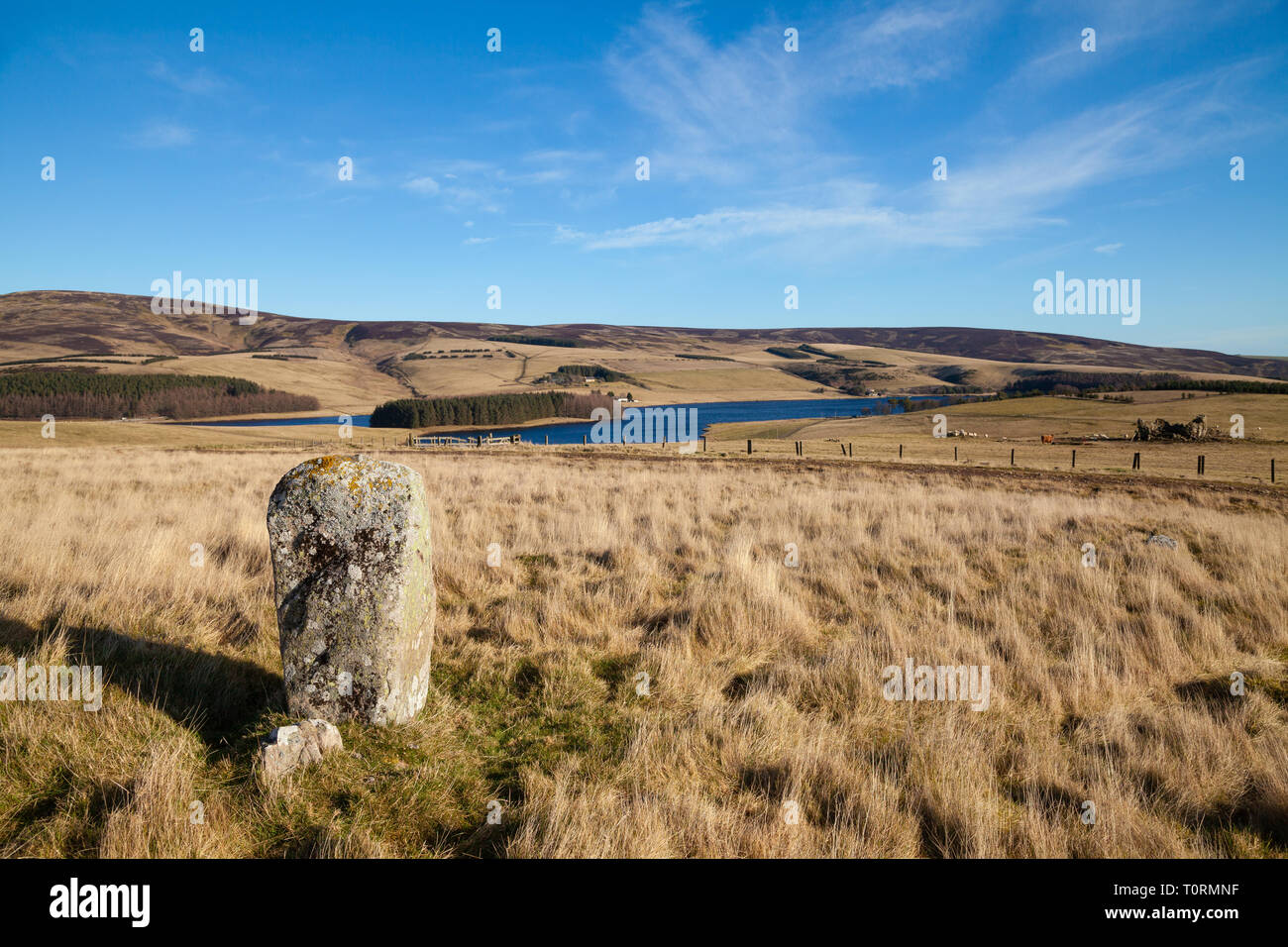 Whiteadder Reservoir is a reservoir in East Lothian, Scotland, UK Stock ...