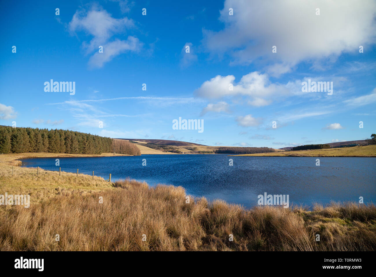 Whiteadder Reservoir is a reservoir in East Lothian, Scotland, UK Stock ...