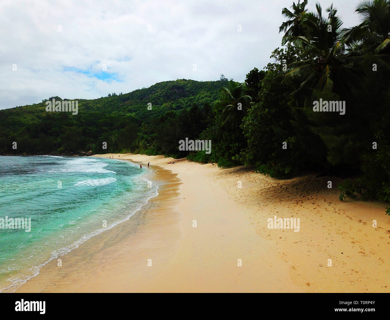 Coral reef seychelles indian ocean hi-res stock photography and images ...