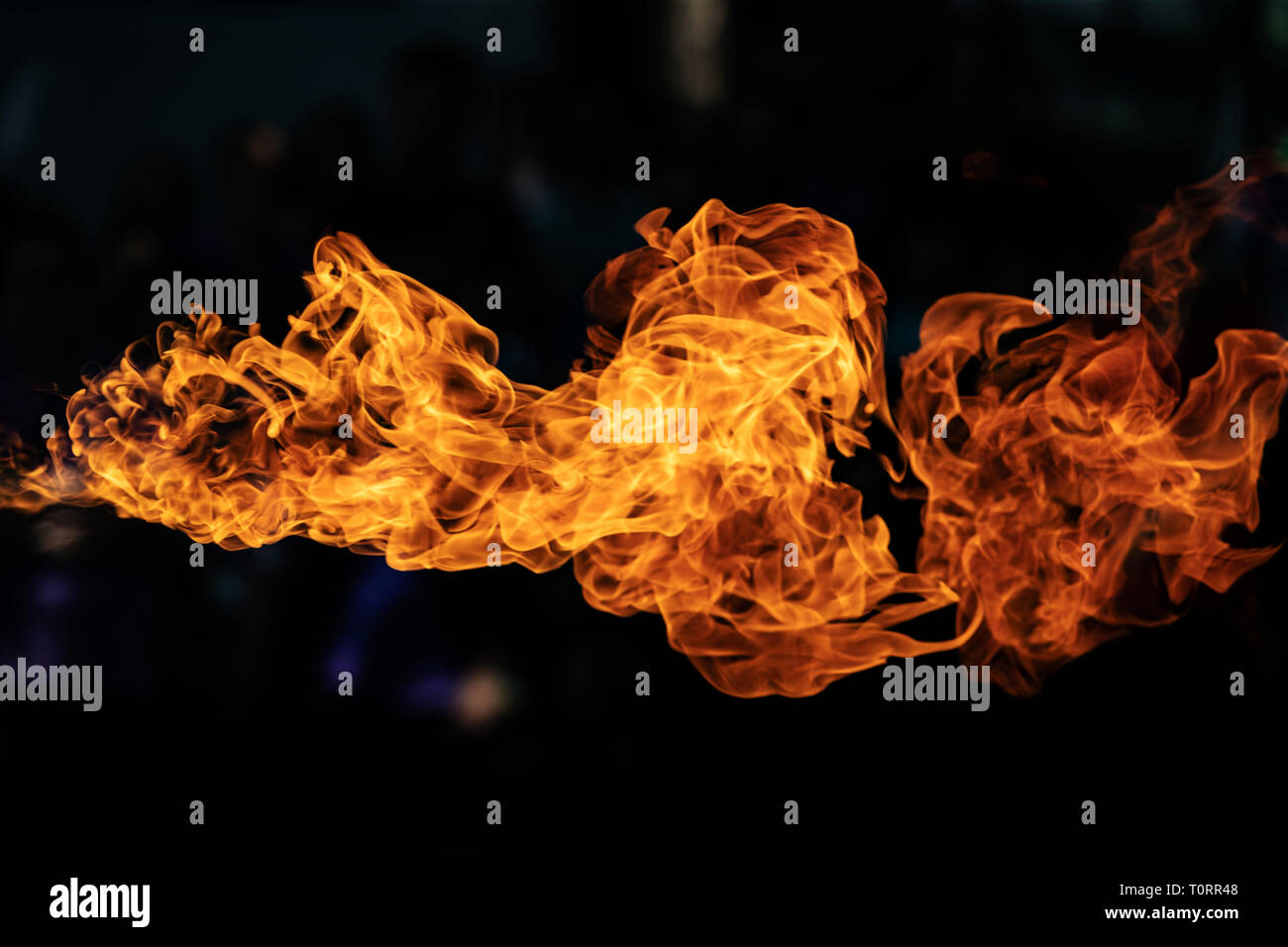 Closeup Fire flames from gas explosion on black background Stock Photo ...