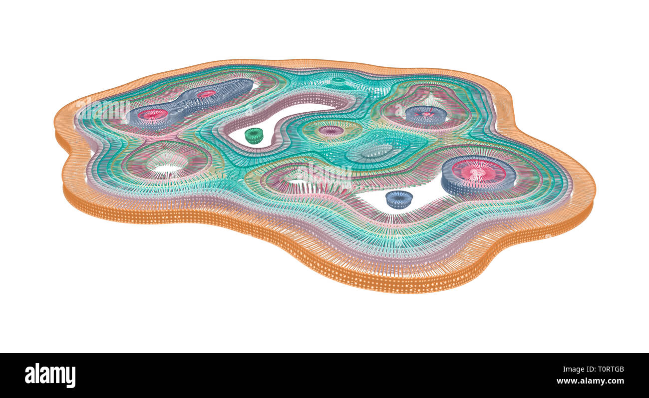 Cross Section Of An Organic Cell With Intracellular Organelles. Medical ...