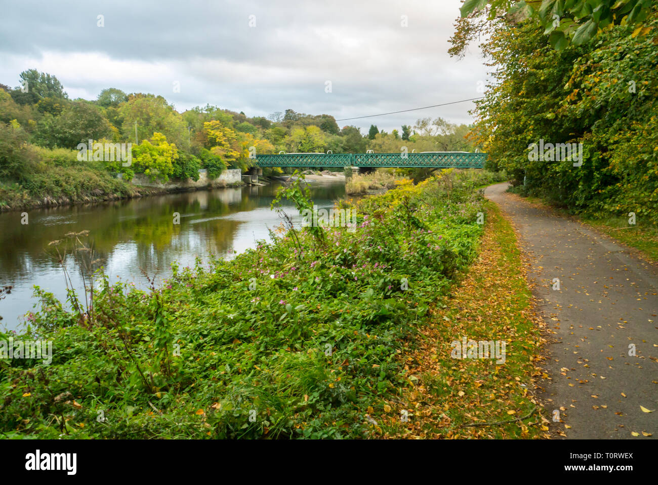 A Riverside Path along the River Wansbeck Stock Photo - Alamy