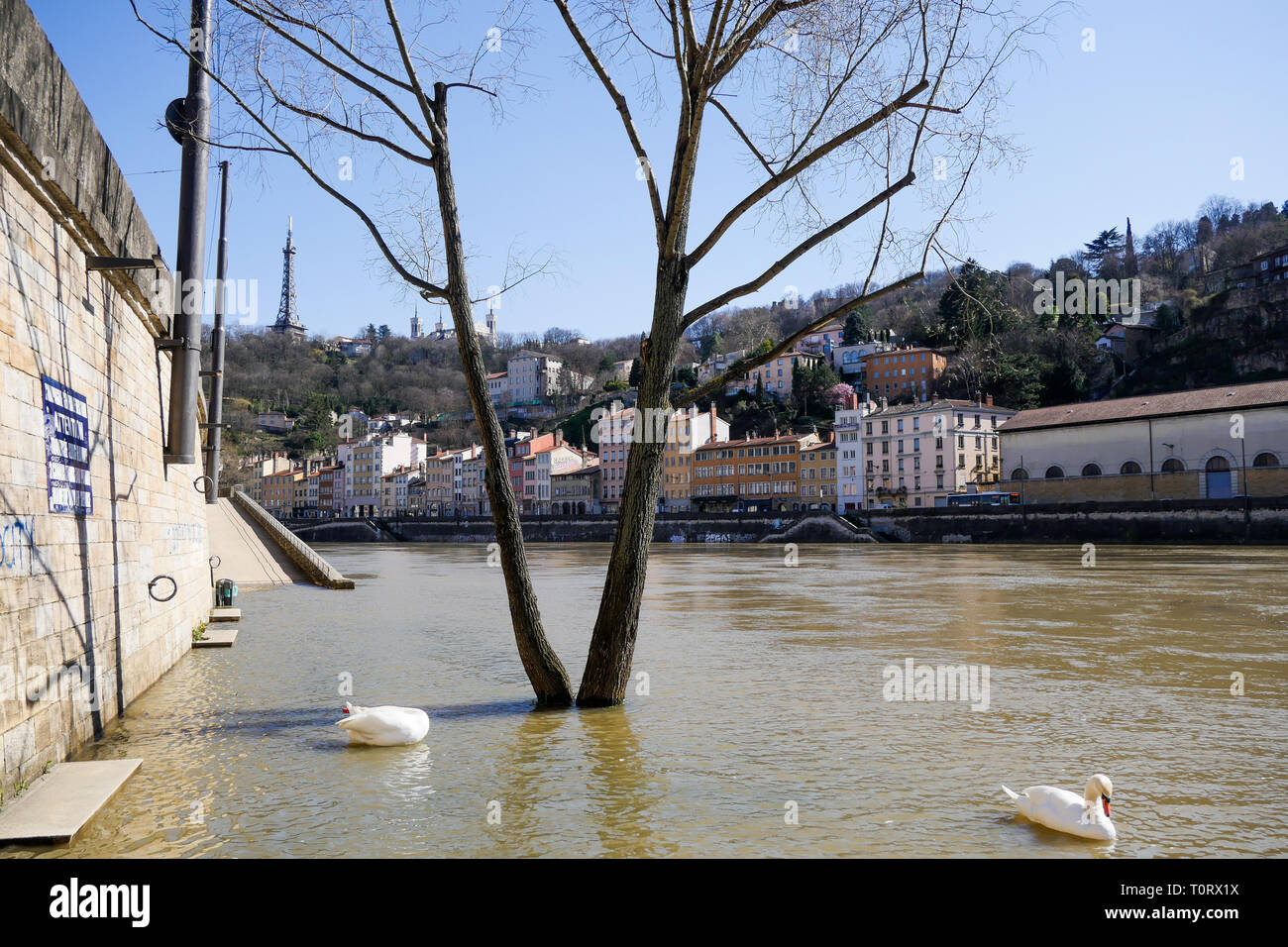 Flooding of River Saone, Lyon, France Stock Photo - Alamy