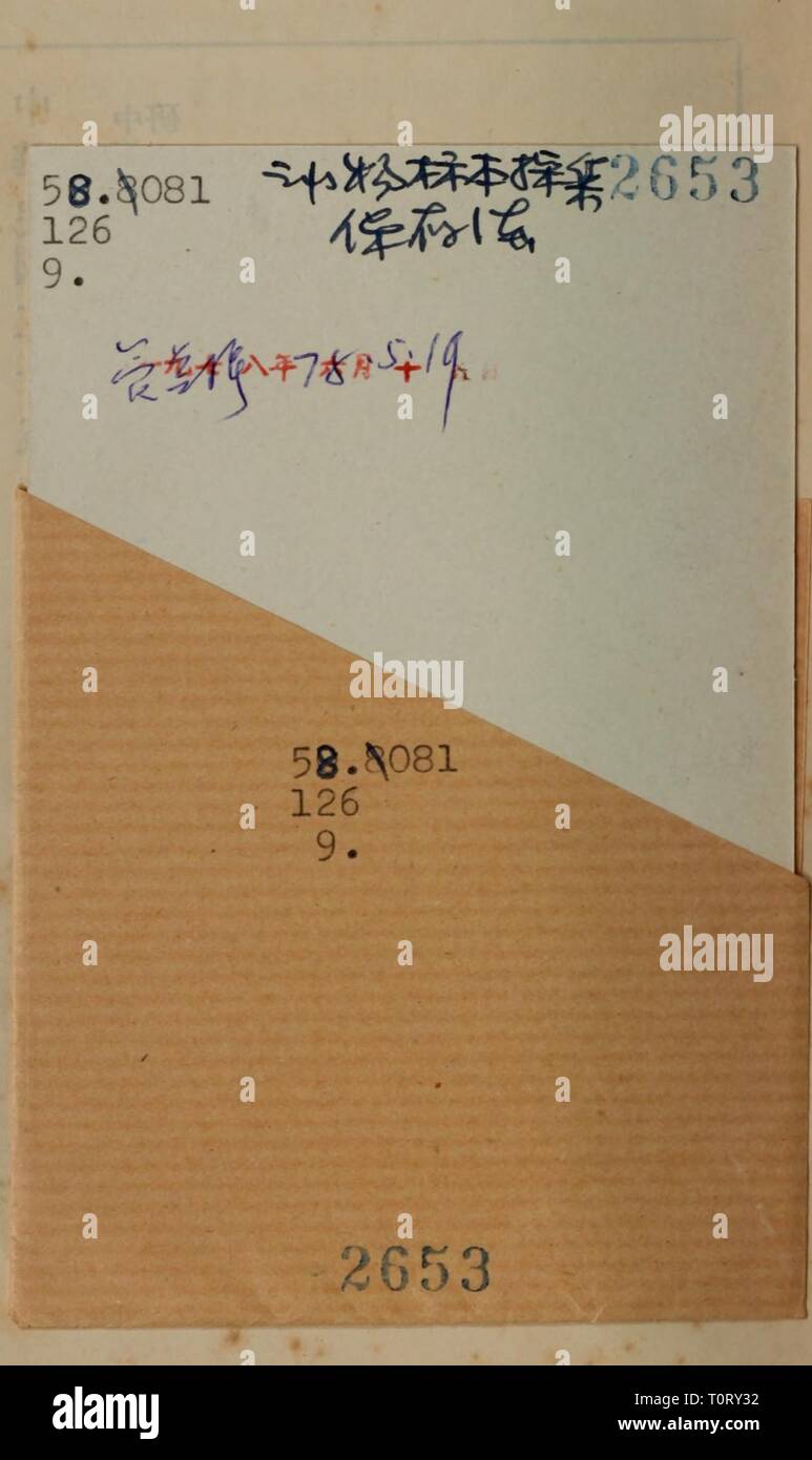 dong wu biao ben cai Stock Photo - Alamy