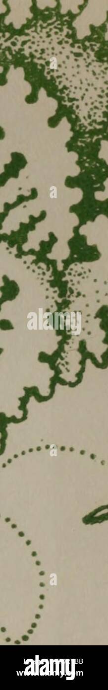 dong wu biao ben cai Stock Photo - Alamy