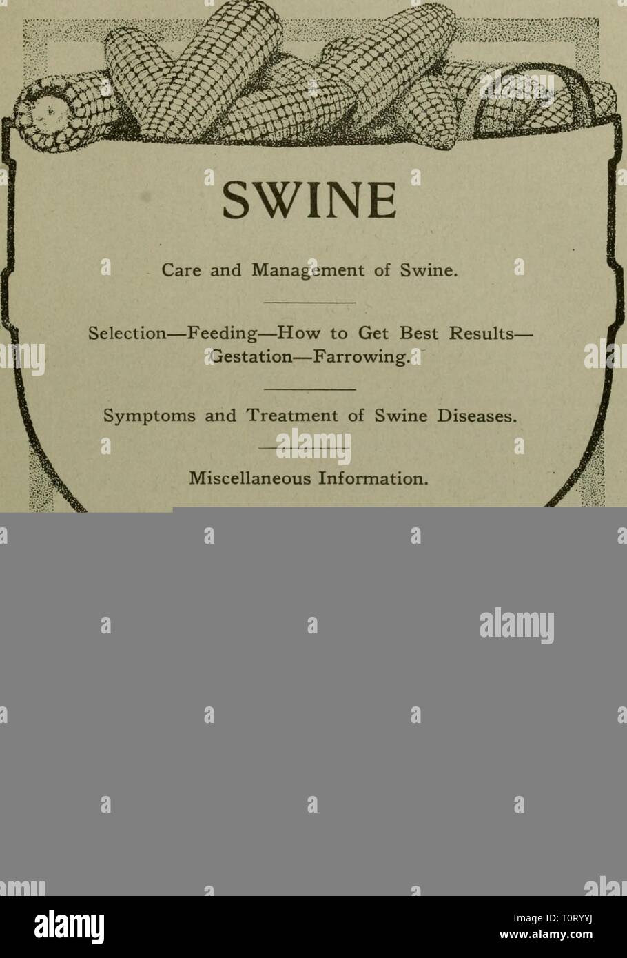 Dr David Roberts practical home Stock Photo - Alamy