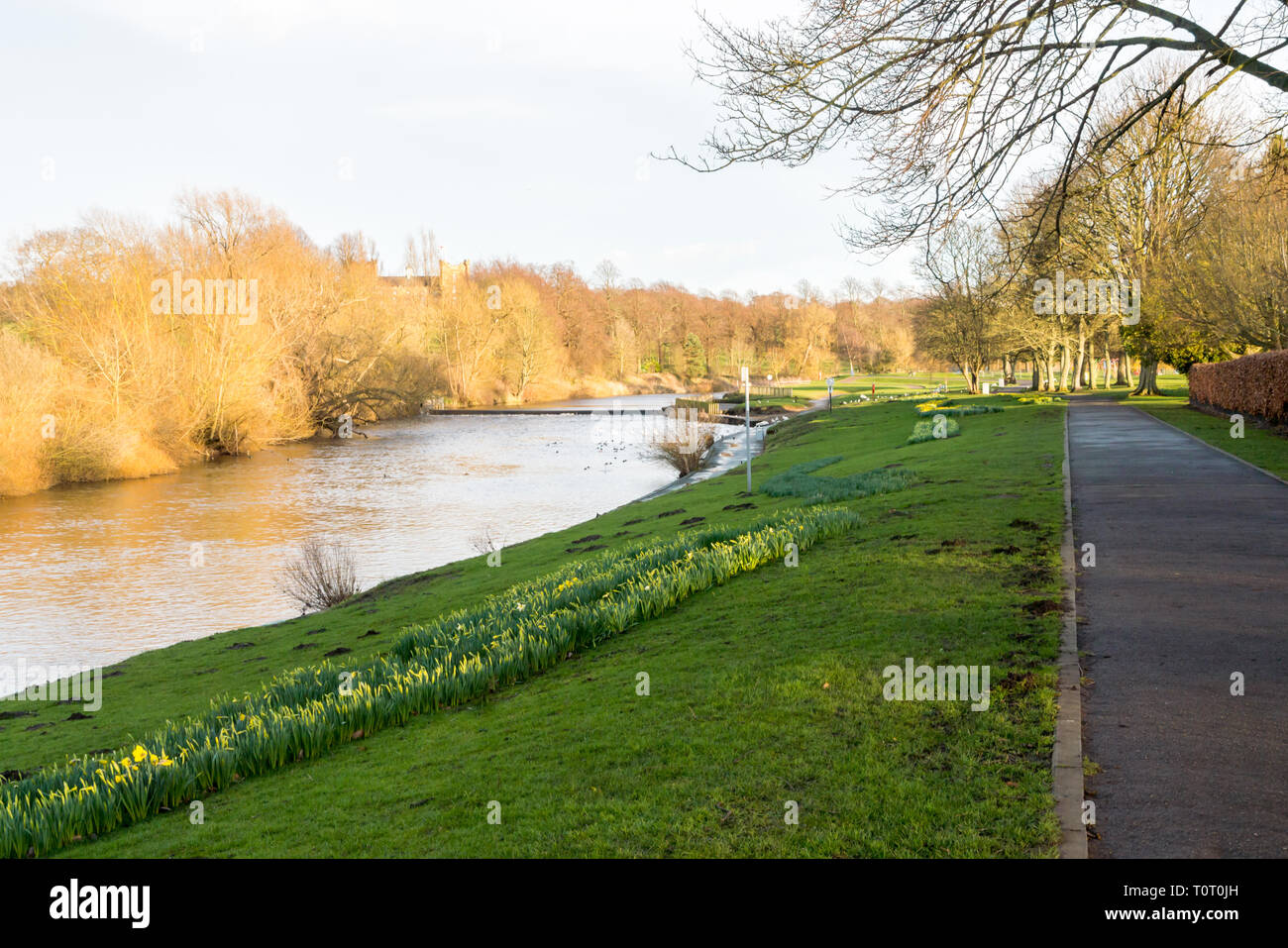 River_wear hi-res stock photography and images - Alamy