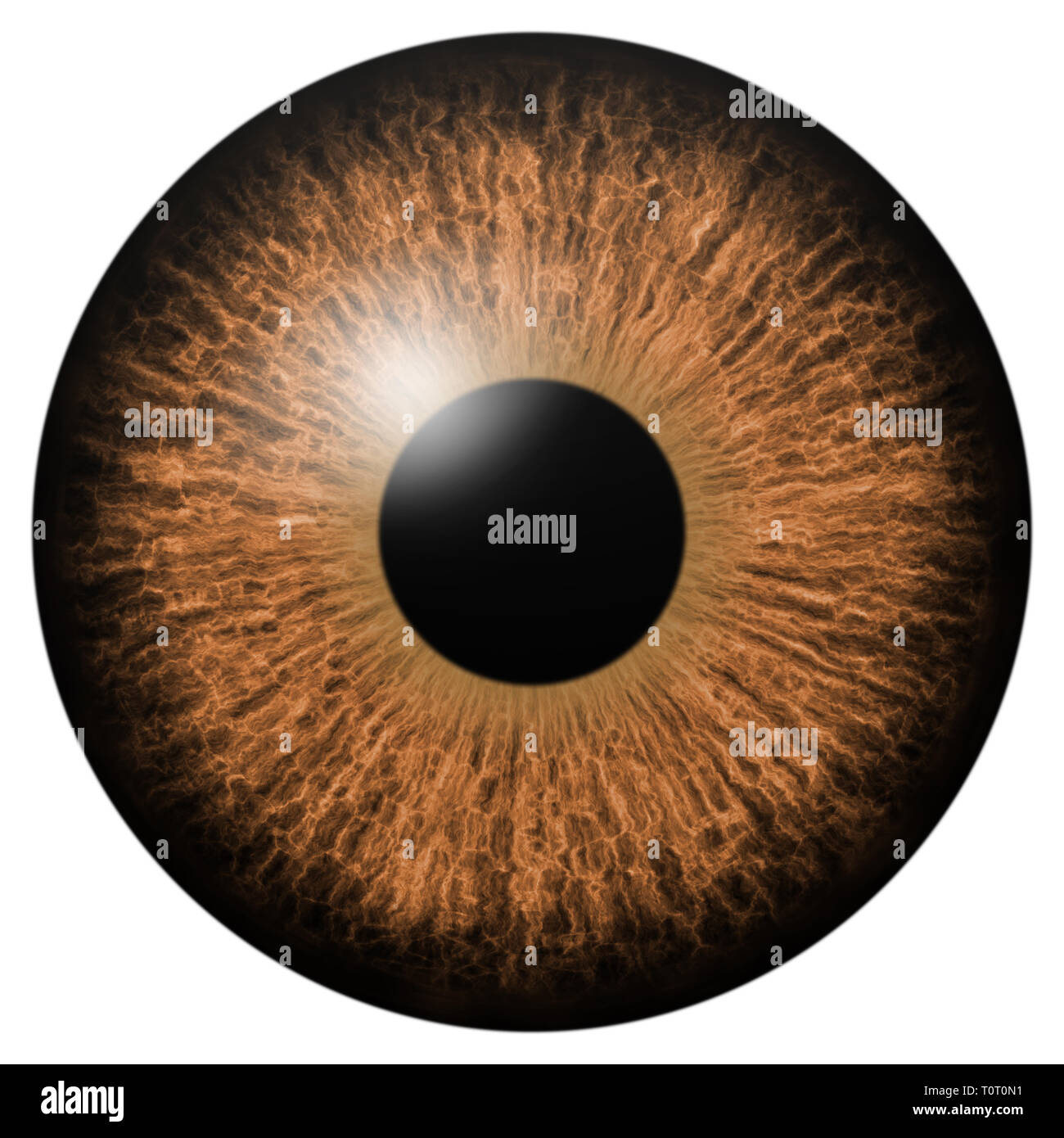 Black iris, eye hi-res stock photography and images - Alamy