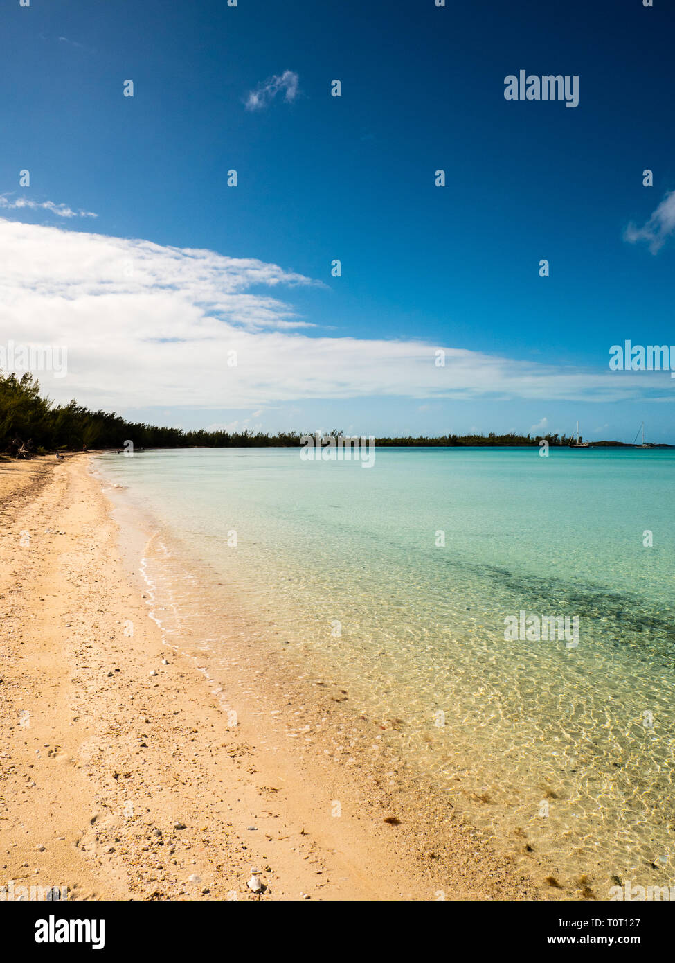 Coastline, Underwater Sea Shells, Bahamas Beach Landscape, Cocodimama ...