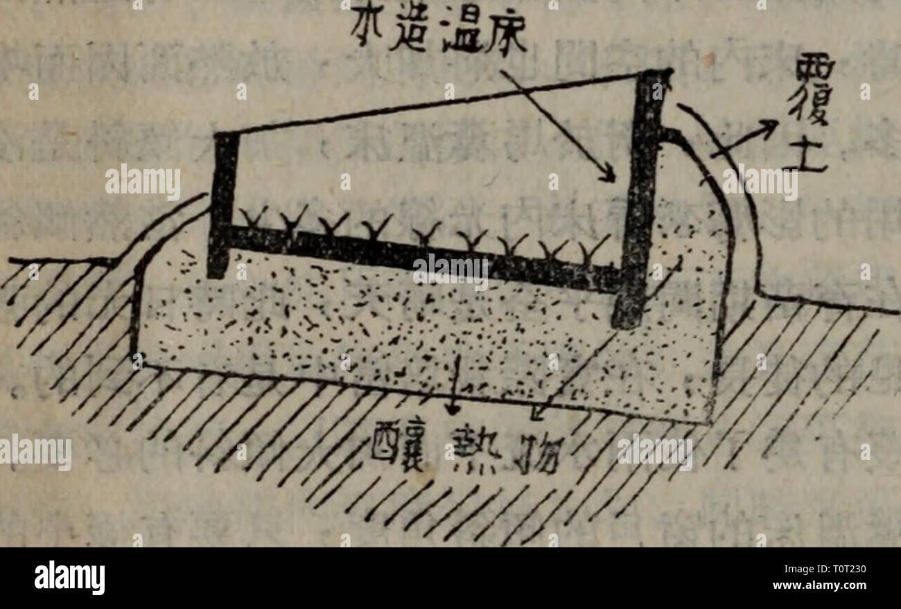 Yao shu hi-res stock photography and images - Alamy