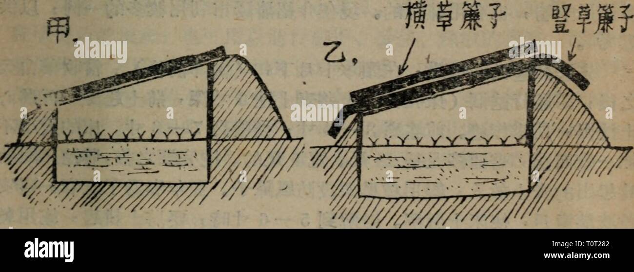 Zhu pei hi-res stock photography and images - Alamy