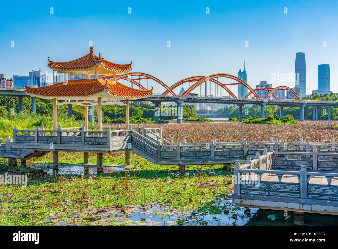 Lotus lake at Honghu Park in Shenzhen Stock Photo - Alamy