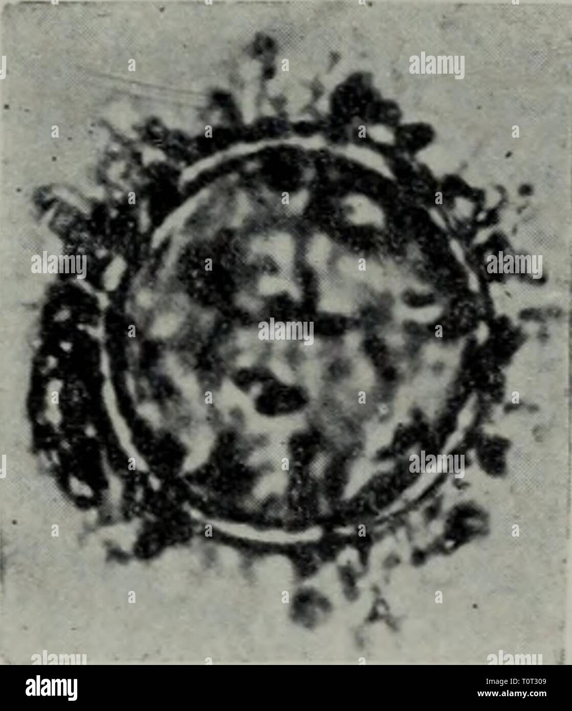 dong hai lu jia pen dong hai lu jia pen di long jing gou zao dai xin ...