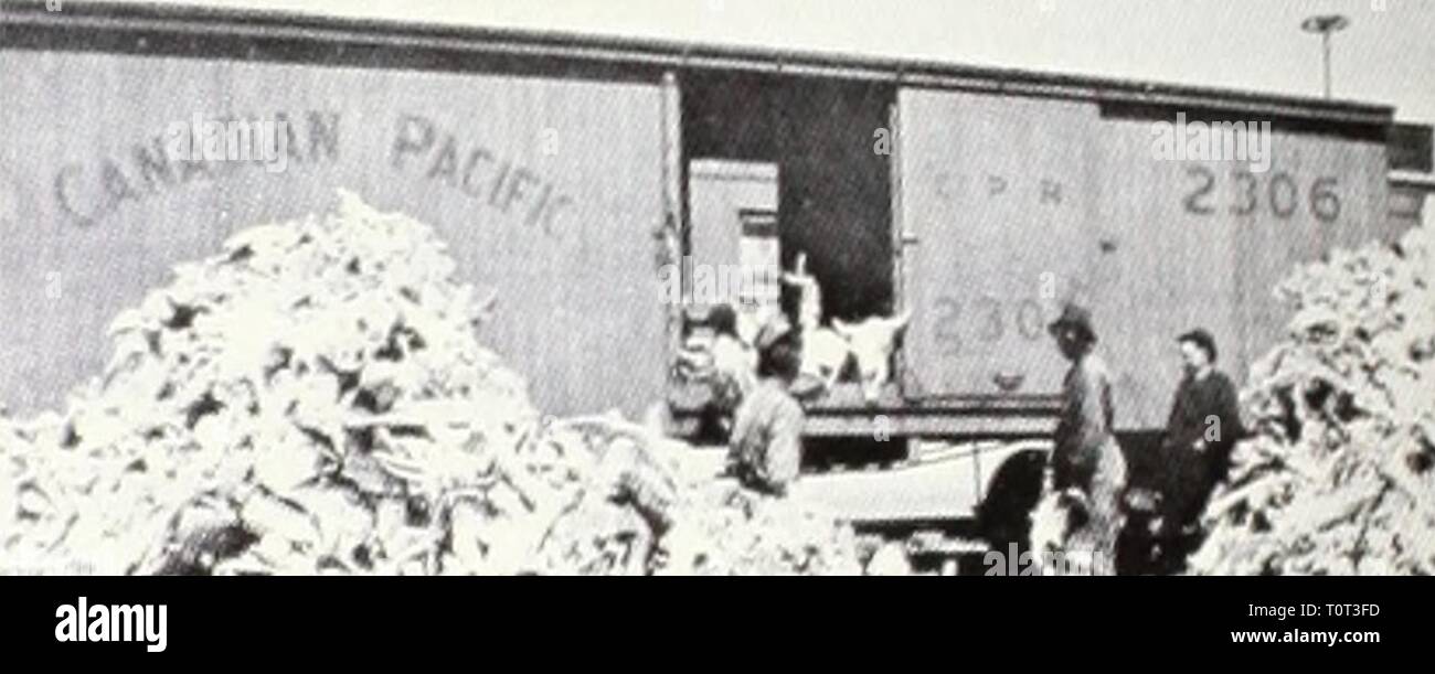 Draft environmental impact statement for Stock Photo - Alamy