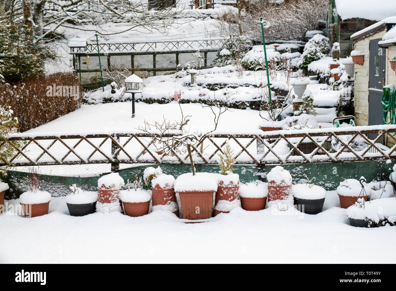 Snow covered garden in Leadhills village in the early morning snow ...