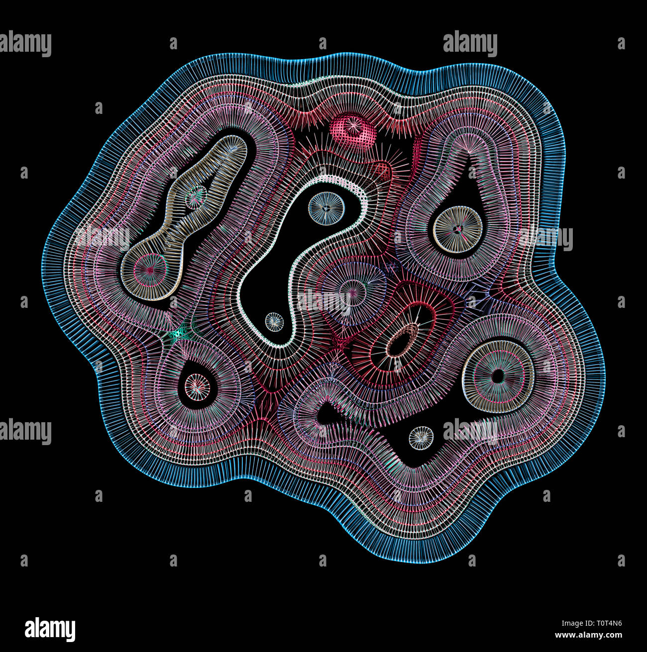 Cross Section Of An Organic Cell With Intracellular Organelles. Medical ...